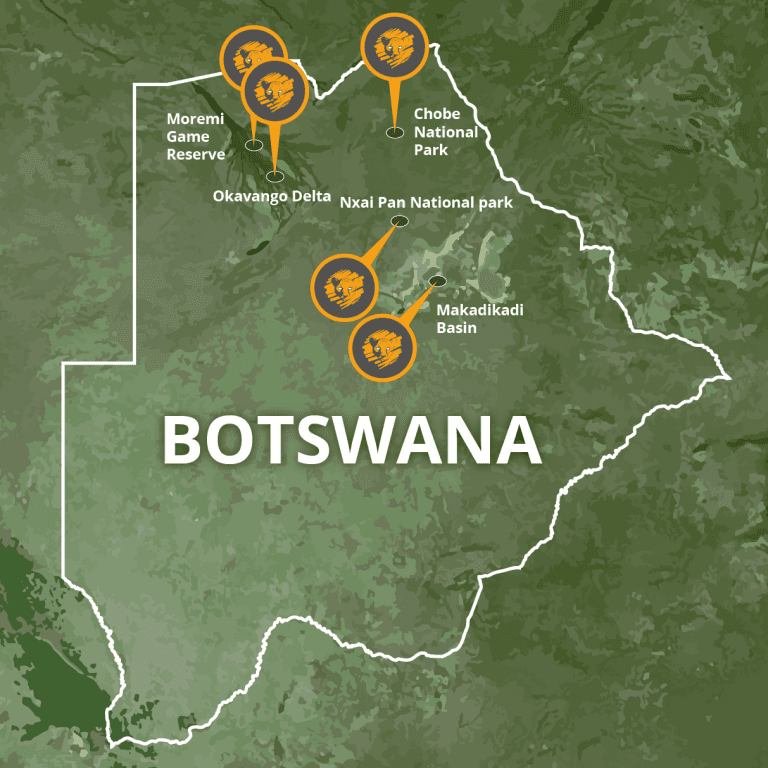 Luxury Botswana Safaris - Holidays, Tour Packages For 2026 | 2027