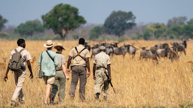 Best Guided Walking Safaris - Bush Walks