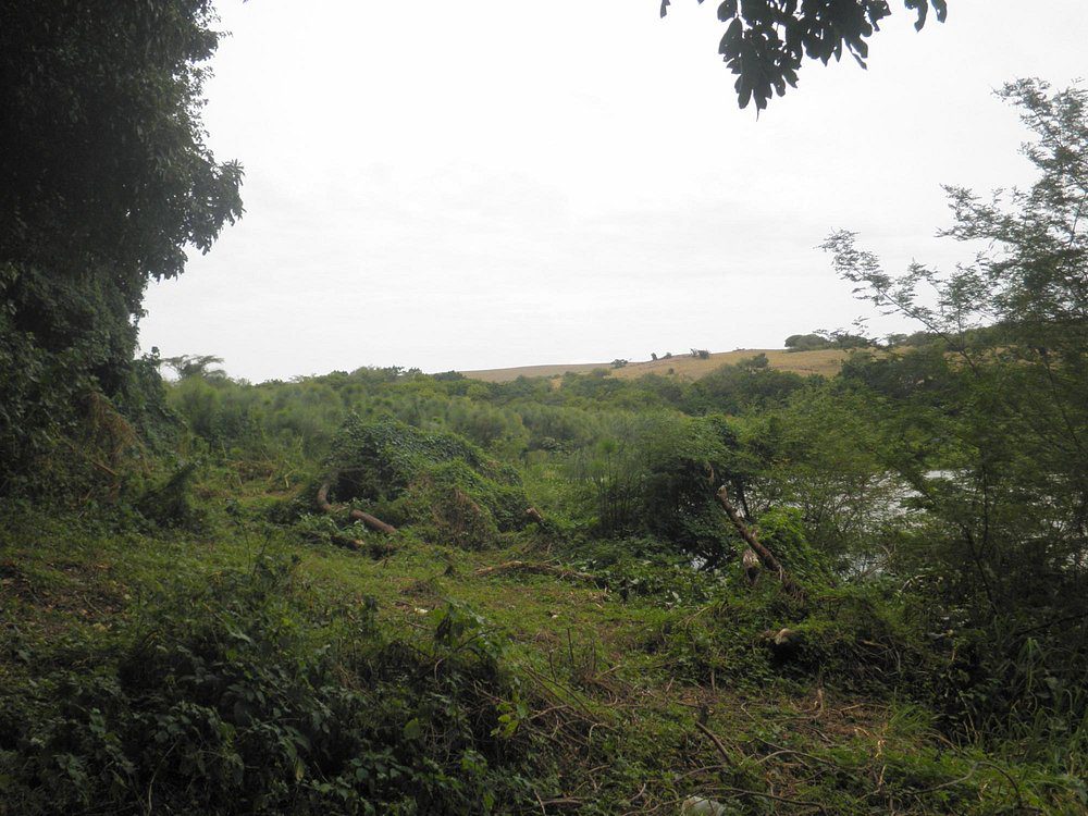 Ndere Island National Park - Best Tourist Guide 2024