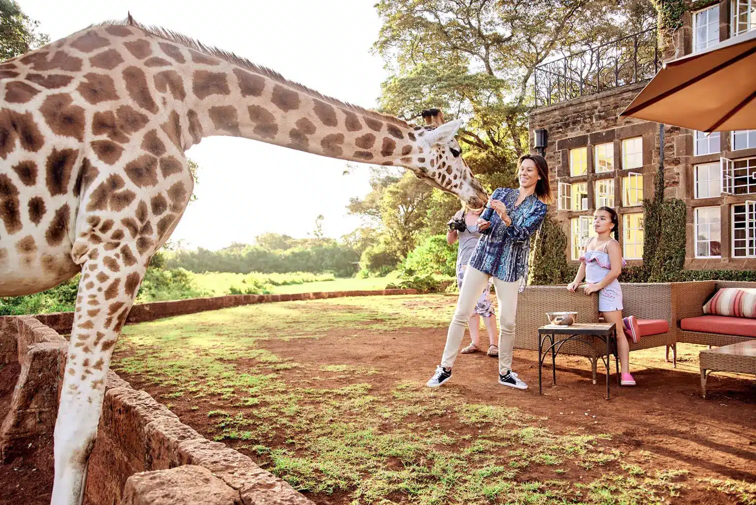 Giraffe Manor In Kenya - Prices And Availability 2025 | 2026