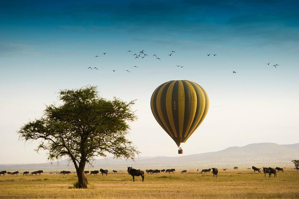 Singita Sabora Tented Camp - Location & Cost 2025 | 2026