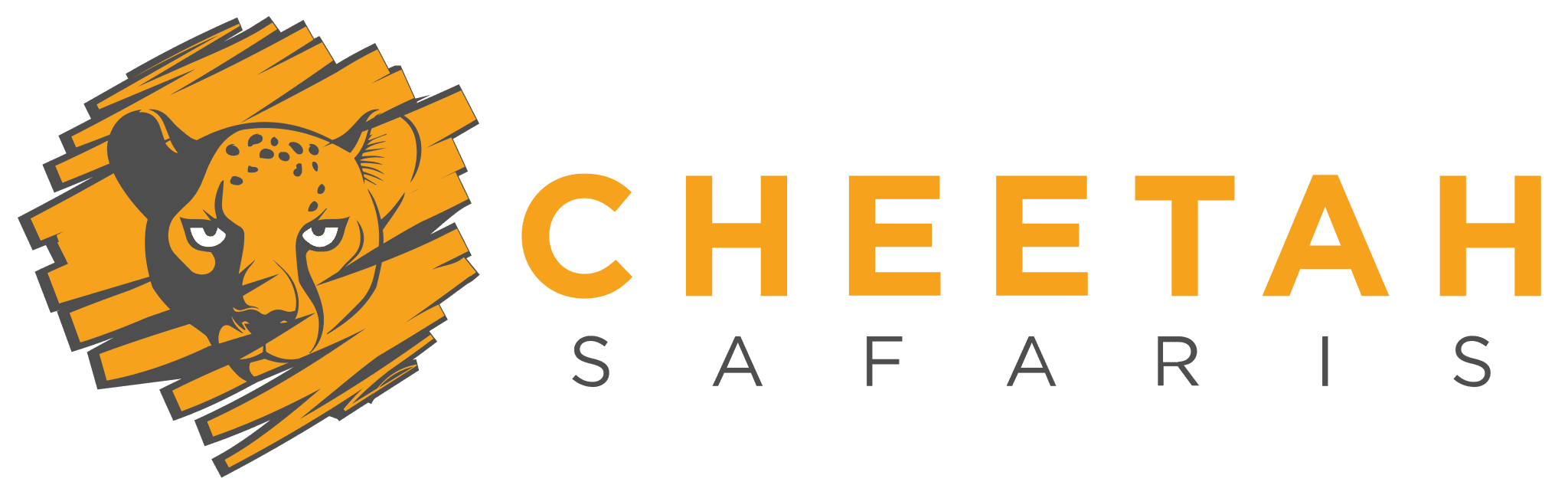 Victoria Falls Travel Guide: What To Know Before You Go 2026 - Cheetah ...