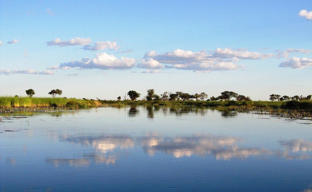 Moremi Game Reserve - Best Time To Visit - 2025 | 2026