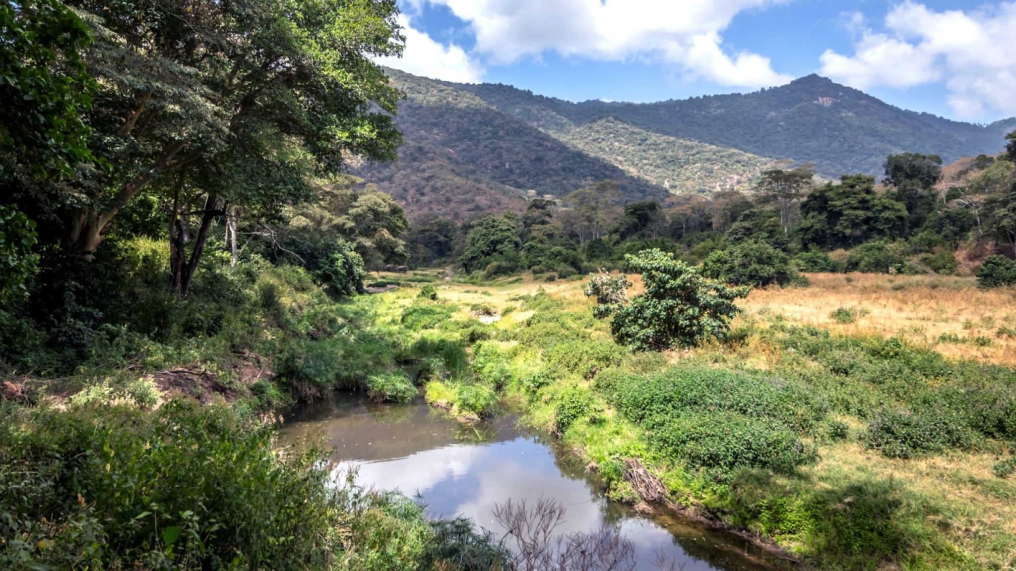 Mathews Ranges - Samburu - Northern Kenya Guide 2025