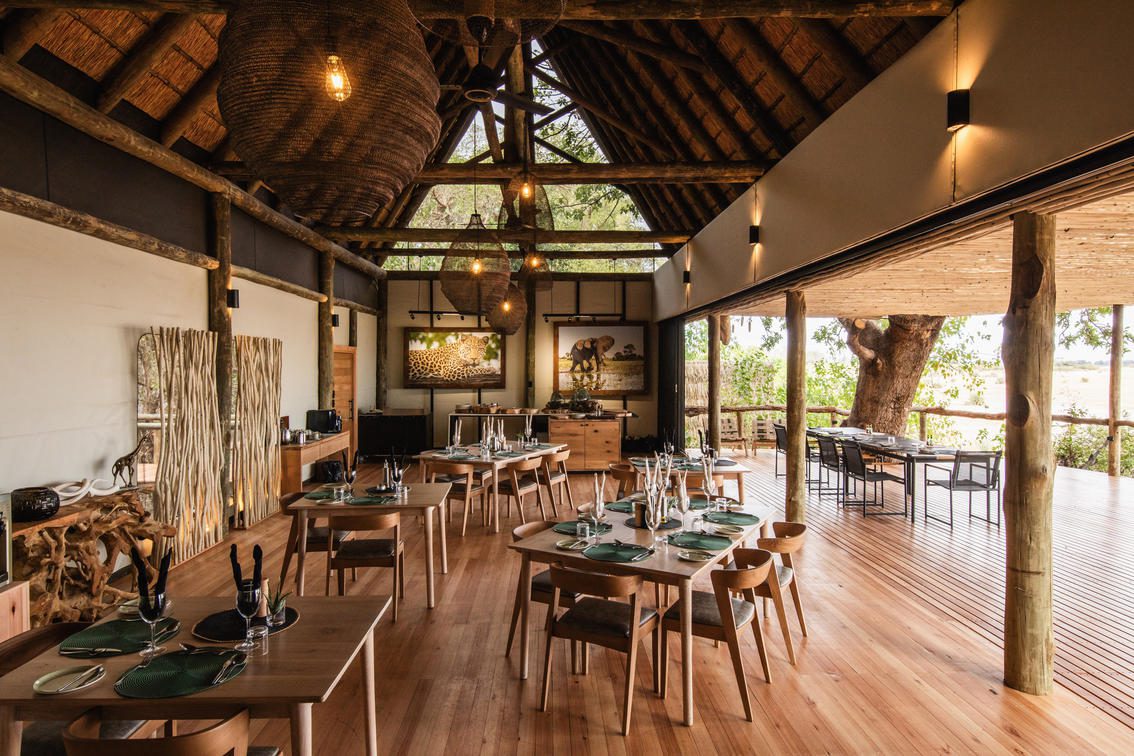 Wilderness Tubu Tree Camp - Location & Cost 2025 | 2026