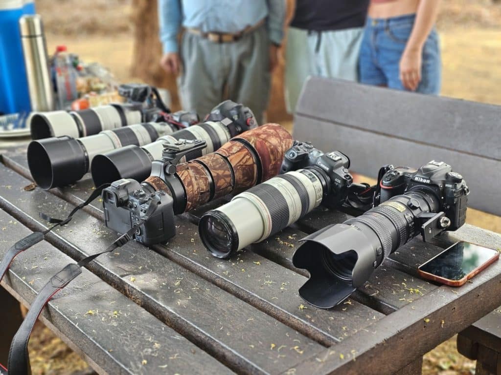 Wildlife Photography Safari Tips And Guides - 2026