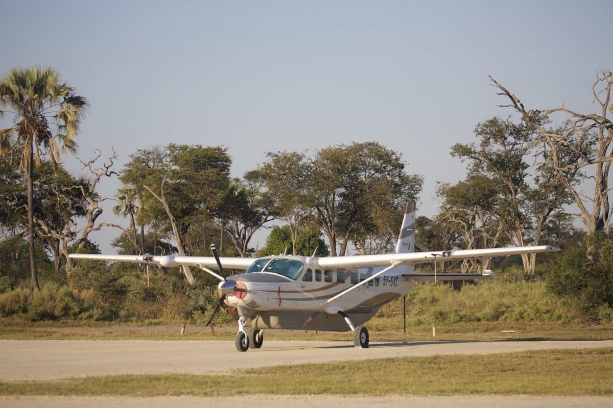 Flying Safaris In Kenya And Tanzania - Best Tour Packages 2024