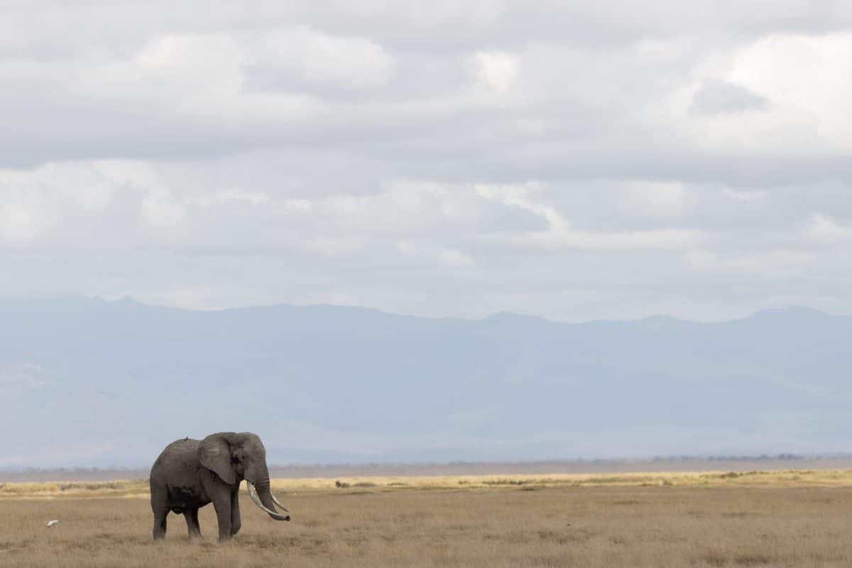 Jade Sea - Lake Turkana - A Guide To Jade Sea 2025