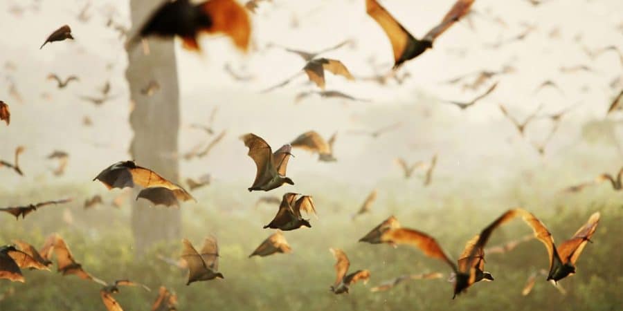 Hells Gate National Park - Kenya - Best Tourist Guide 2025